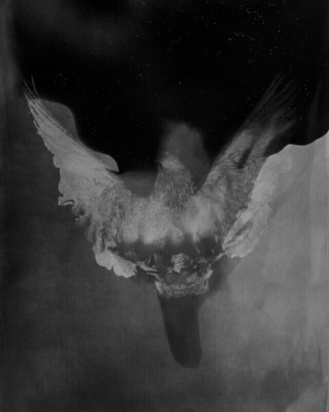 FOMU | FOMU Antwerpen | Expo's | Dirk Braeckman - Echtzeit