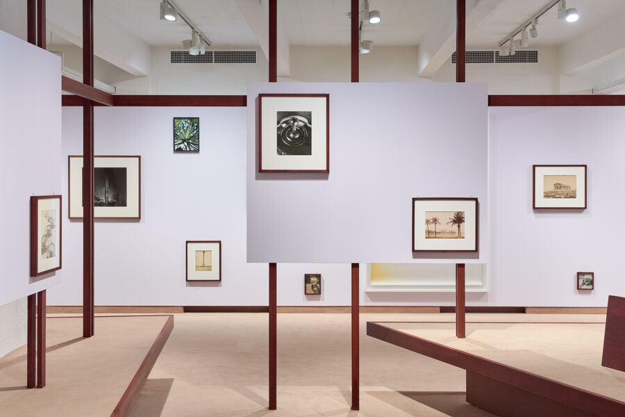 FOMU | FOMU Antwerpen | Expo's | Grace Ndiritu Reimagines the FOMU…
